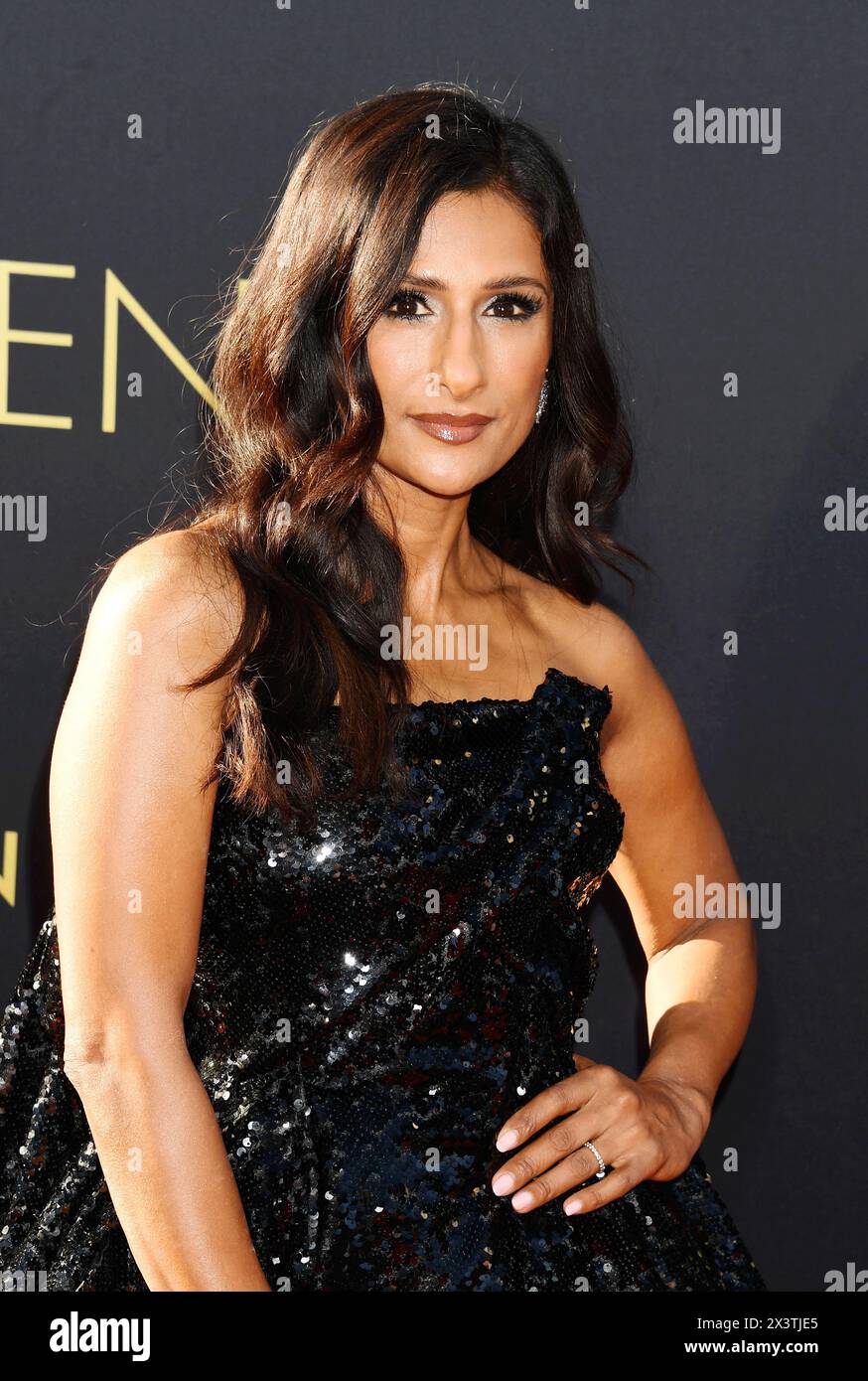 HOLLYWOOD, CALIFORNIA - APRIL 27: Sarayu Rao attends the 49th AFI ...