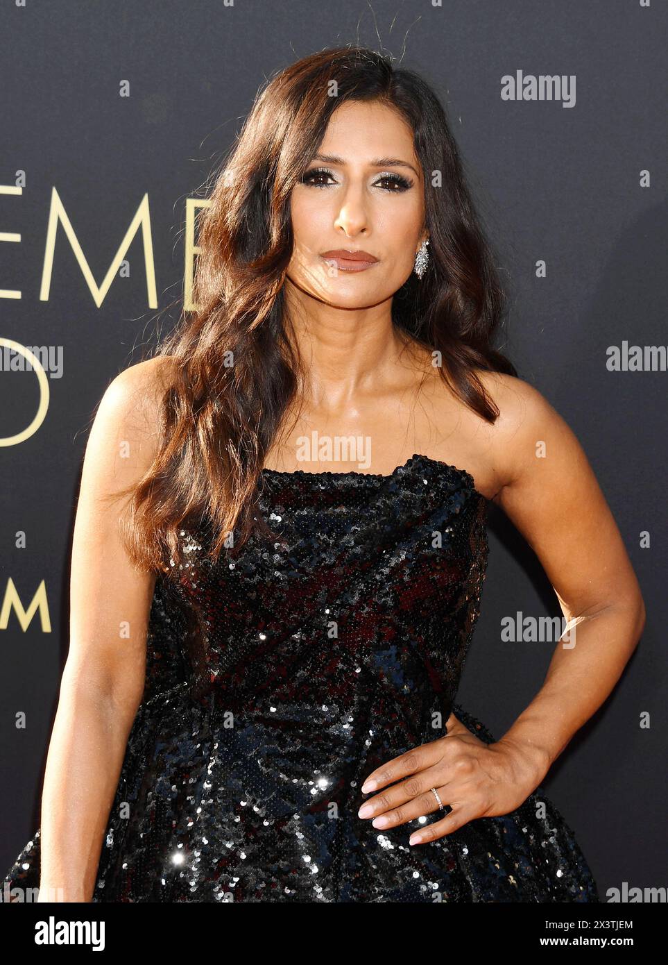 Hollywood California April 27 Sarayu Rao Attends The 49th Afi Lifetime Achievement Award