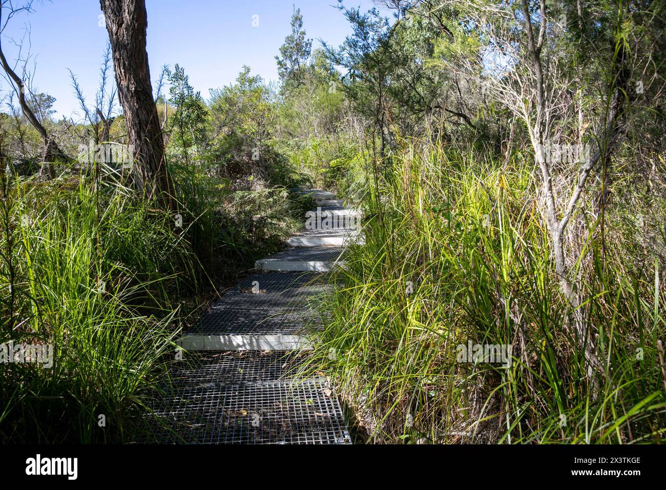 Shelly beach to barracks precinct walk hi-res stock photography and ...