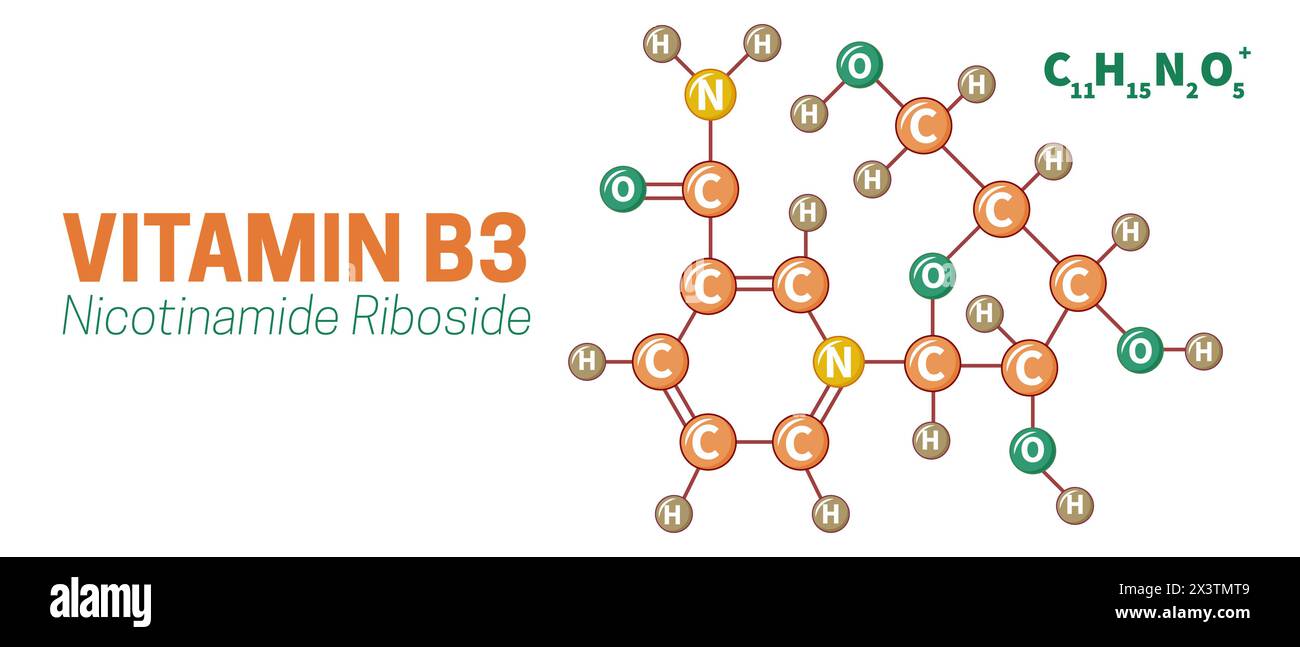 Vitamin B3 Nicotinamide Riboside Molecule Illustration Stock Vector Image & Art - Alamy