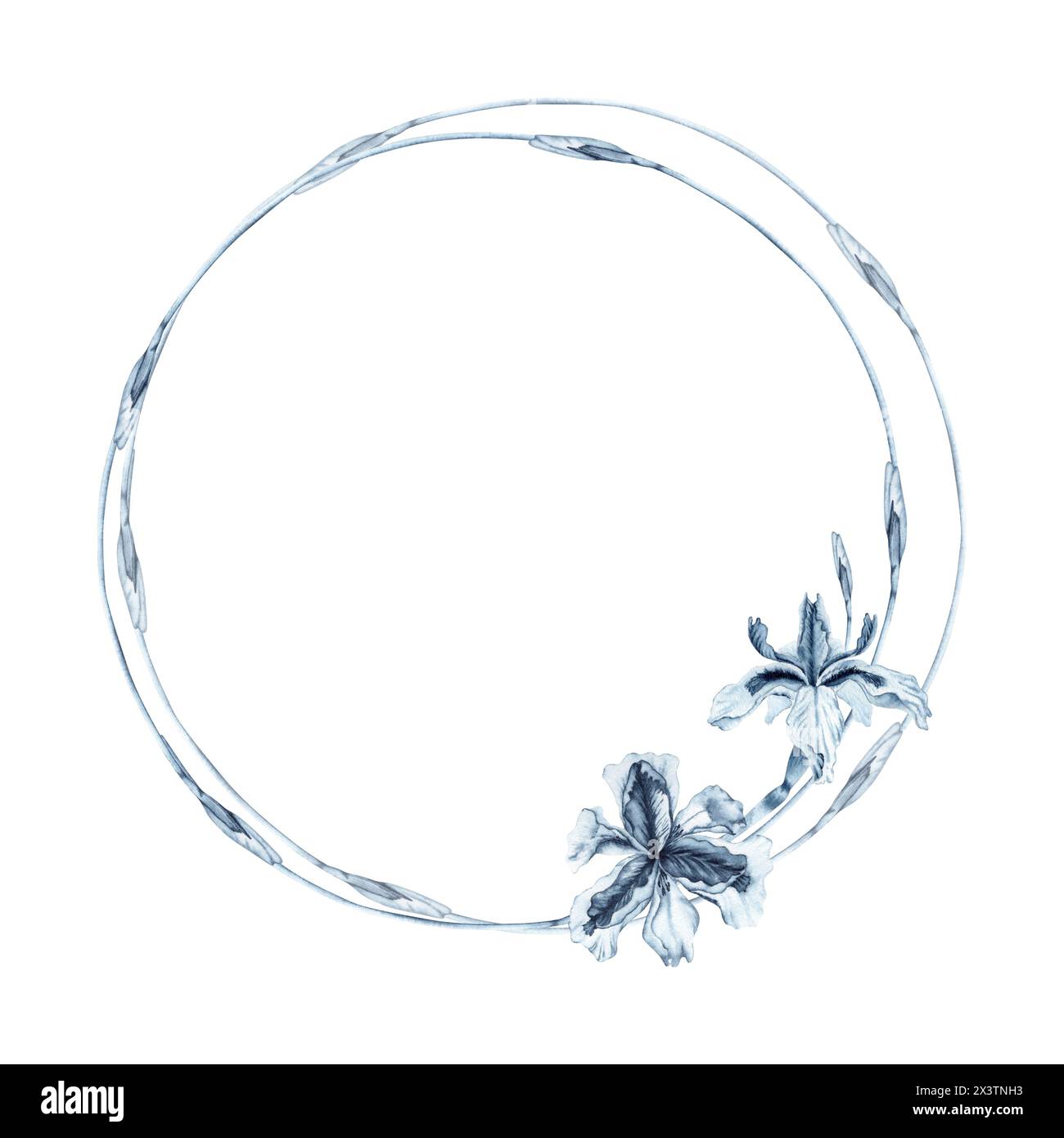 Blue Iris Flowers and plant stems wreath. Hand drawn watercolor ...