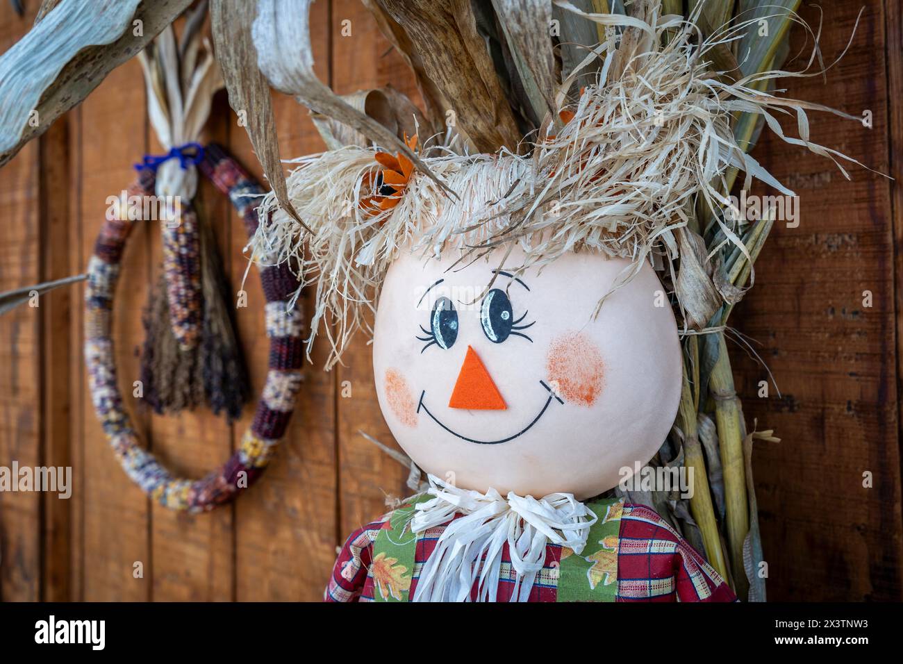 Scarecrow face hi-res stock photography and images - Alamy