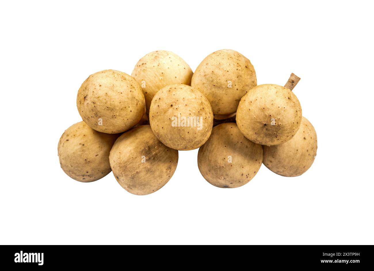 Longkong fruit isolated on white background Stock Photo - Alamy
