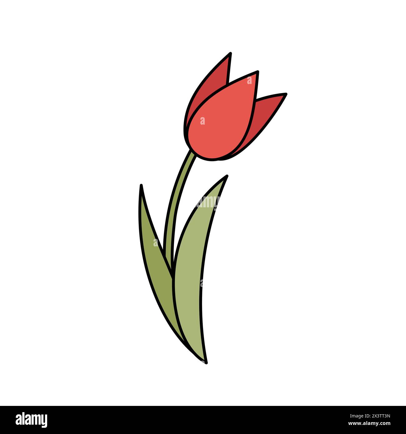 Turkish red tulip flower symbol of Turkey. Traditional element of ...
