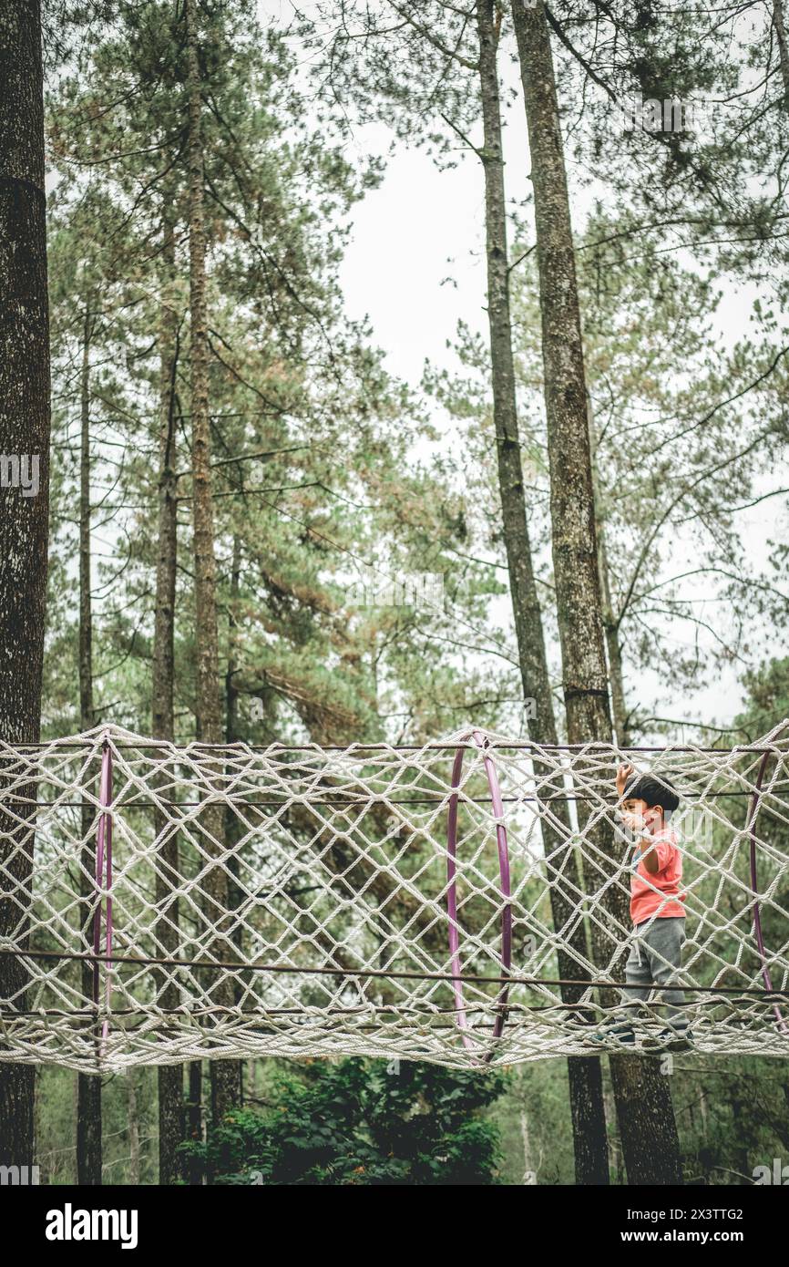 A kid walks in a net in the forrest filled with pine trees in Lembang ...