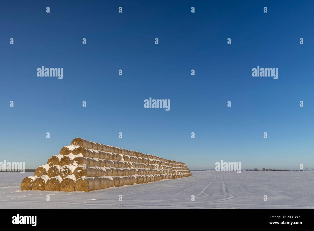 snow-covered straw stacks , winter landscape with straw in stacks after ...