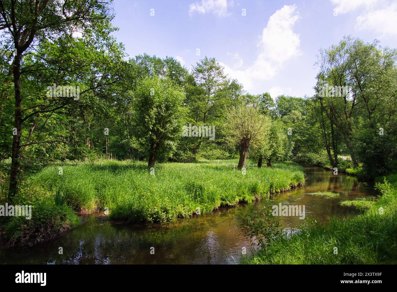 River schwalm hi-res stock photography and images - Alamy
