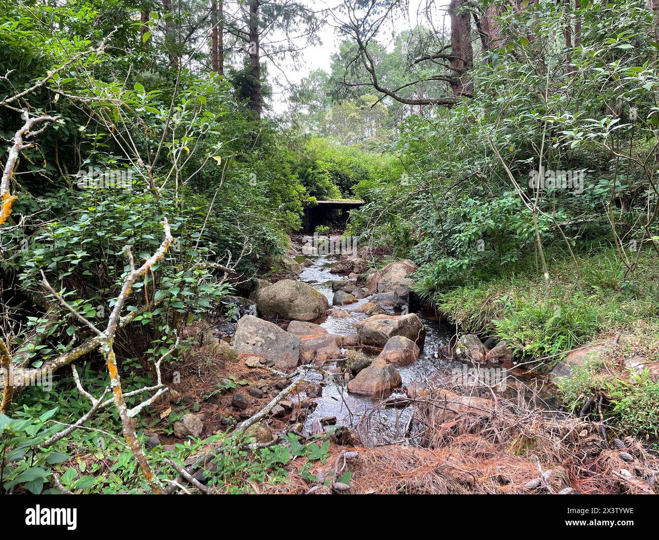 The natural source of water is rain water. Natural source waters come ...