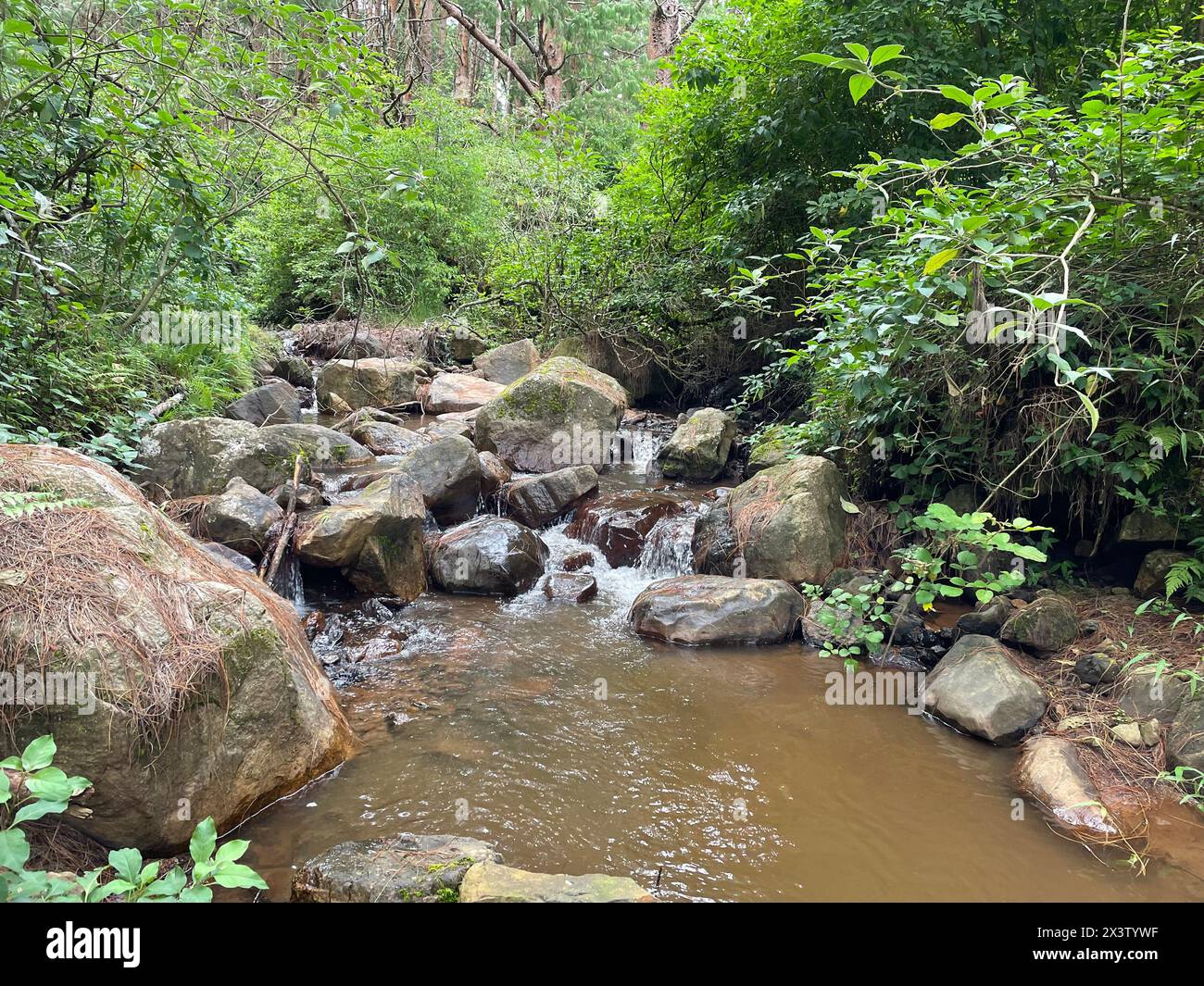 The natural source of water is rain water. Natural source waters come ...