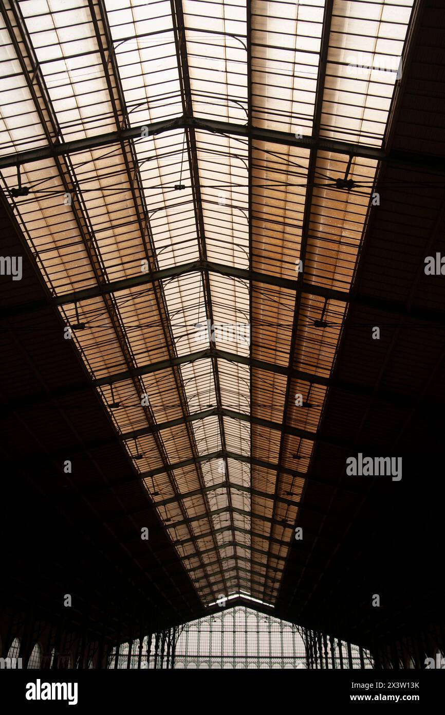 Glass roof at the the Gare du Nord (North Station), one of the seven ...
