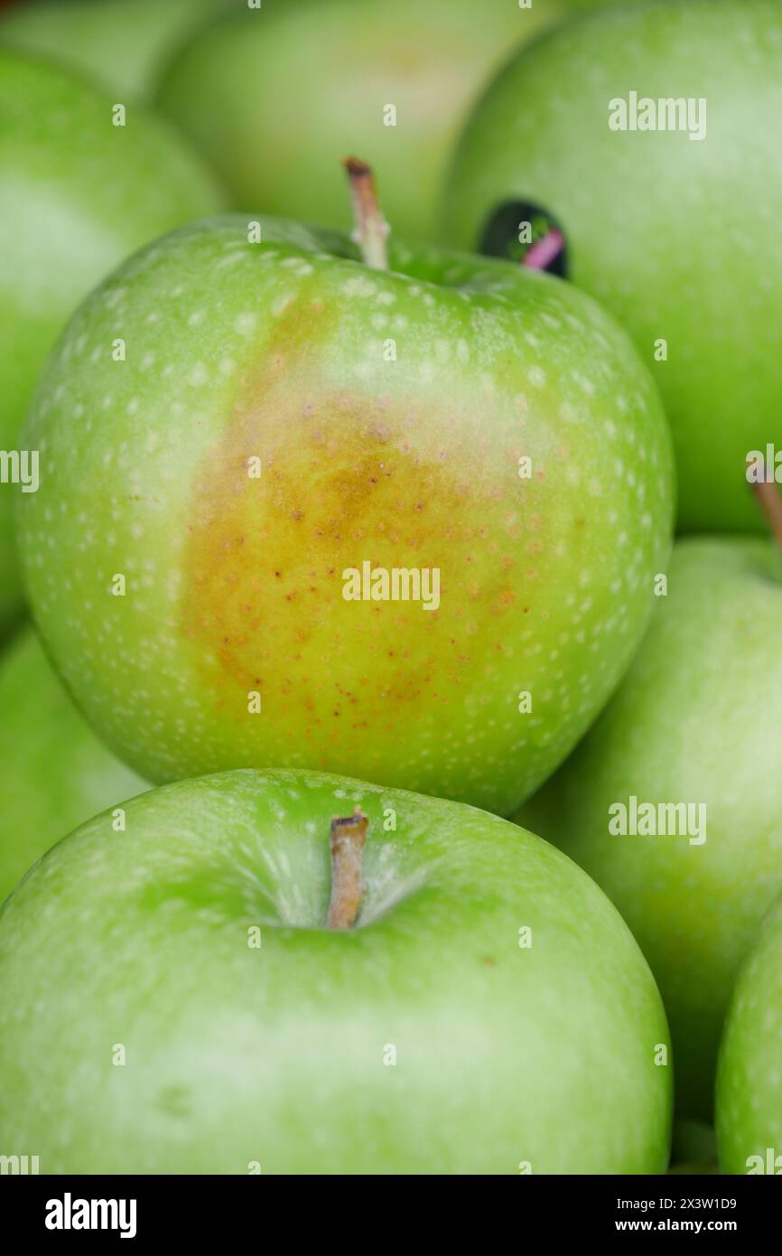 Rotting fruit bowl hi-res stock photography and images - Alamy