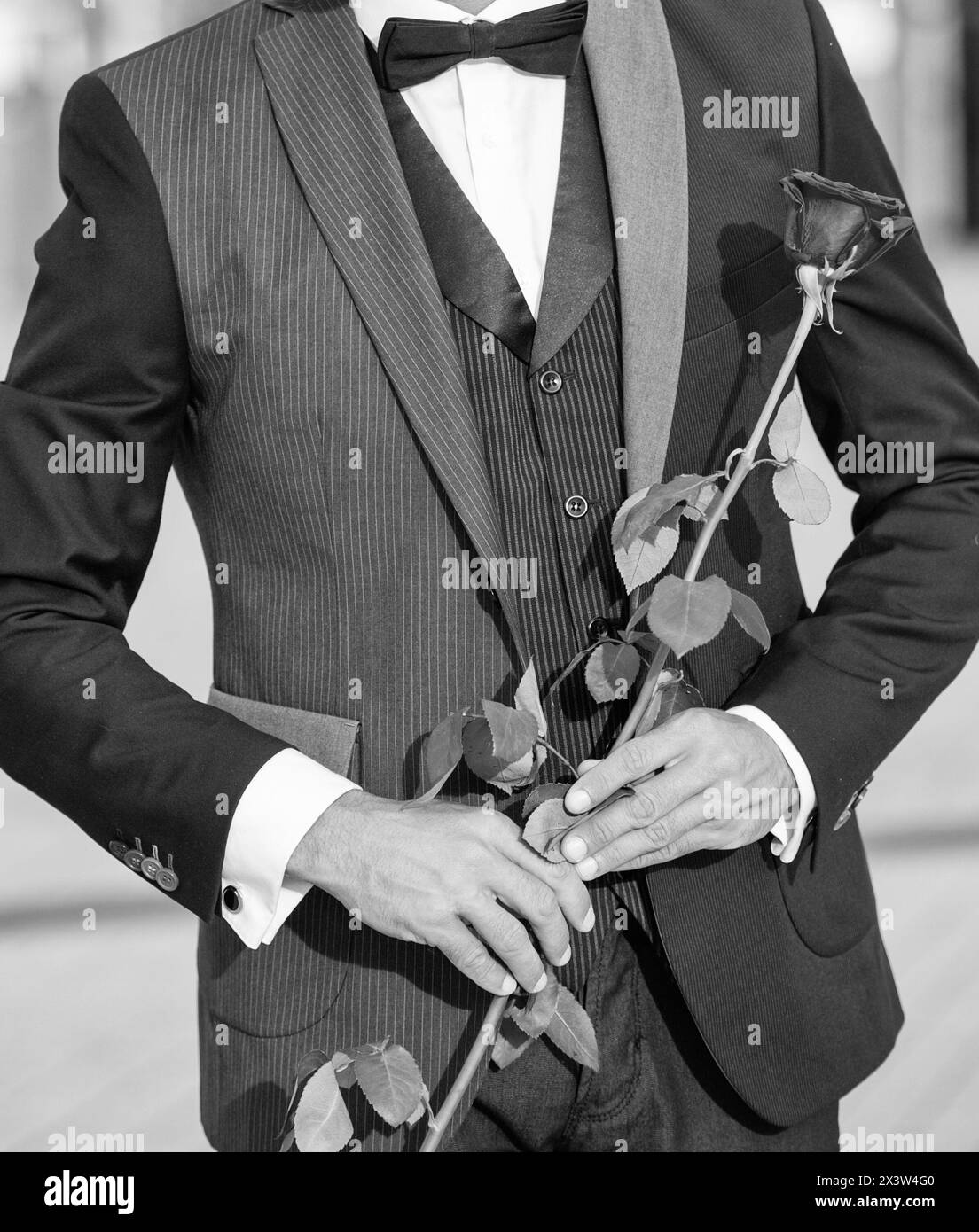 proposal concept. cropped view of black tuxedo man making a proposal ...