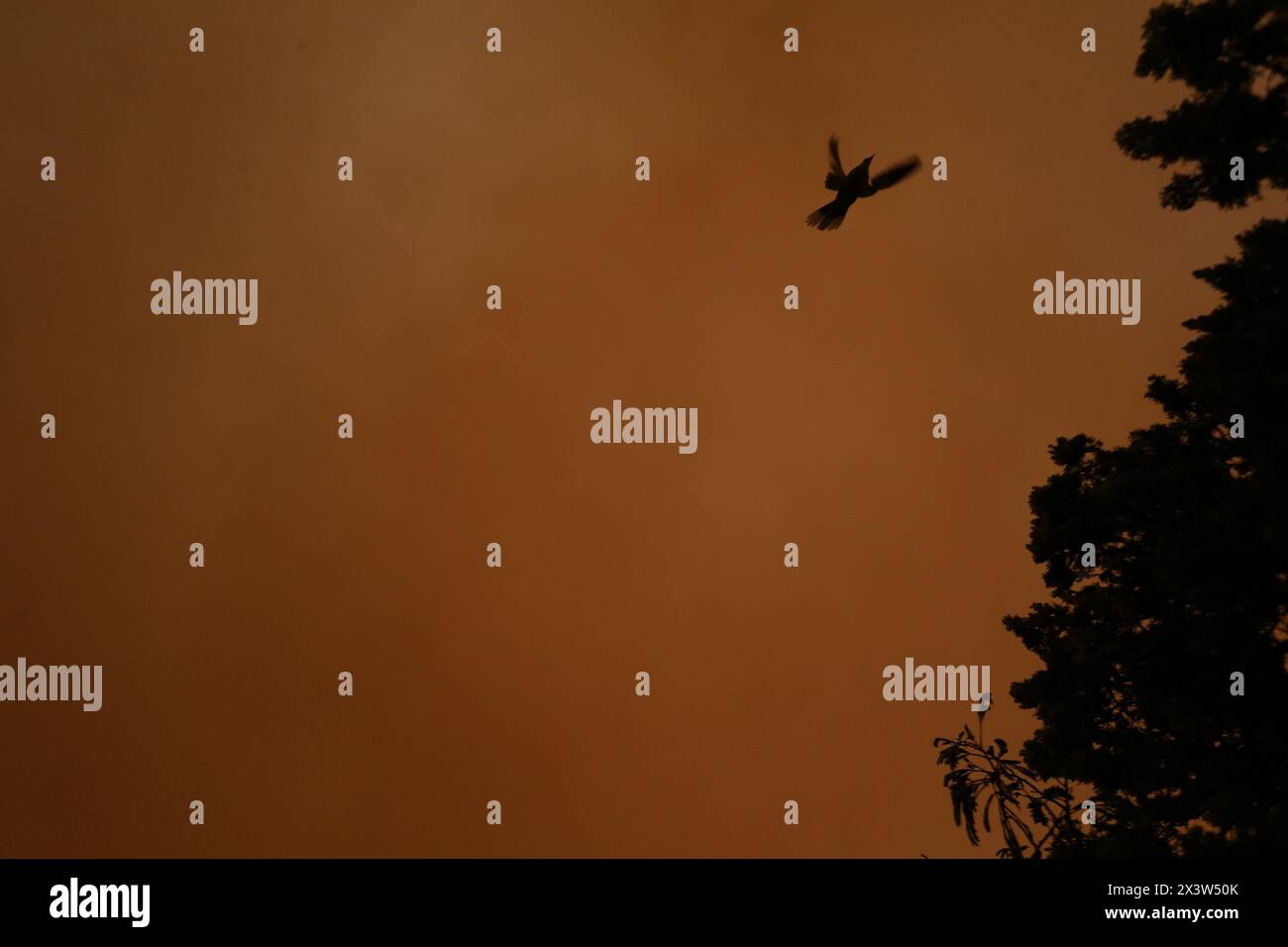 Saharan dust covers the sky of Athens. According to the National ...