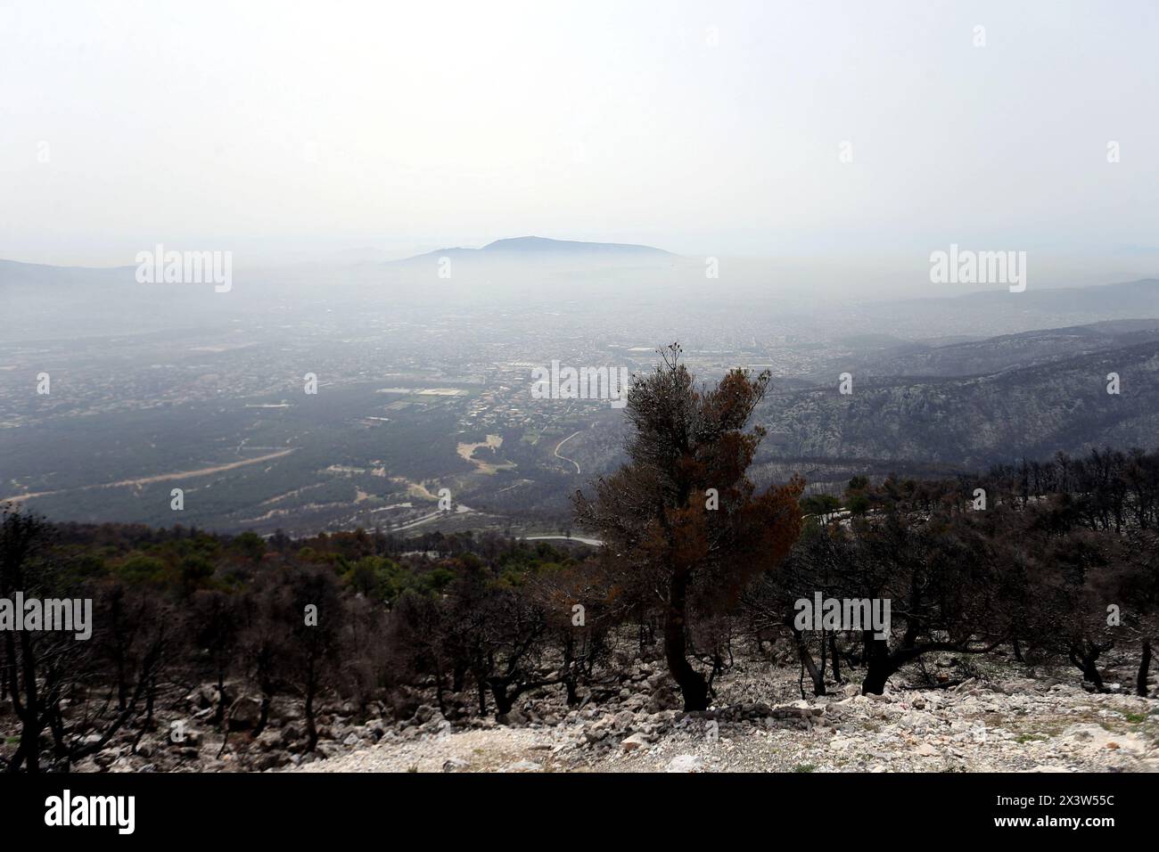 Athens covered with African dust, as seen from the burnt Mount Parnitha ...