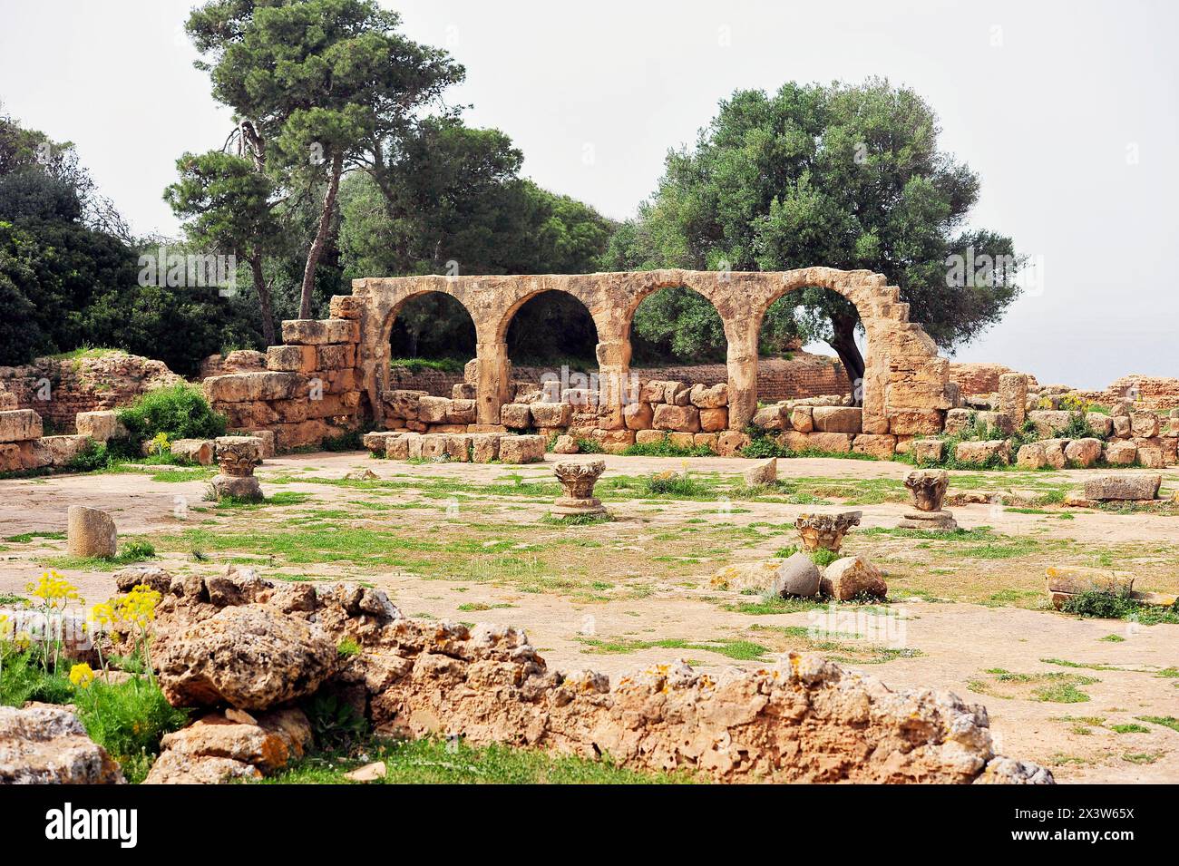 ALGERIA - TOURISM - ART - HISTORY - ARCHEOLOGY. Ruins of the basilica ...