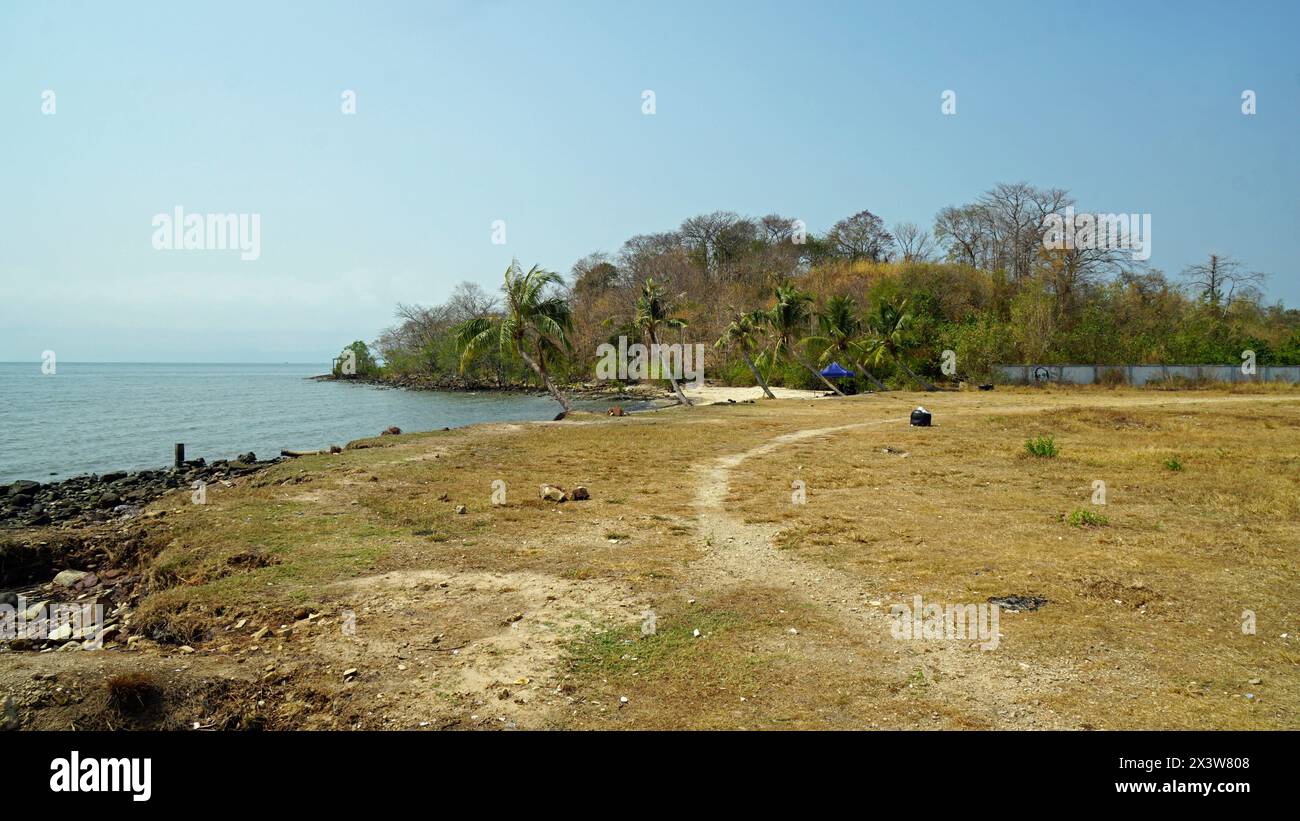 natural coconut beach near kampot in cambodia Stock Photo - Alamy