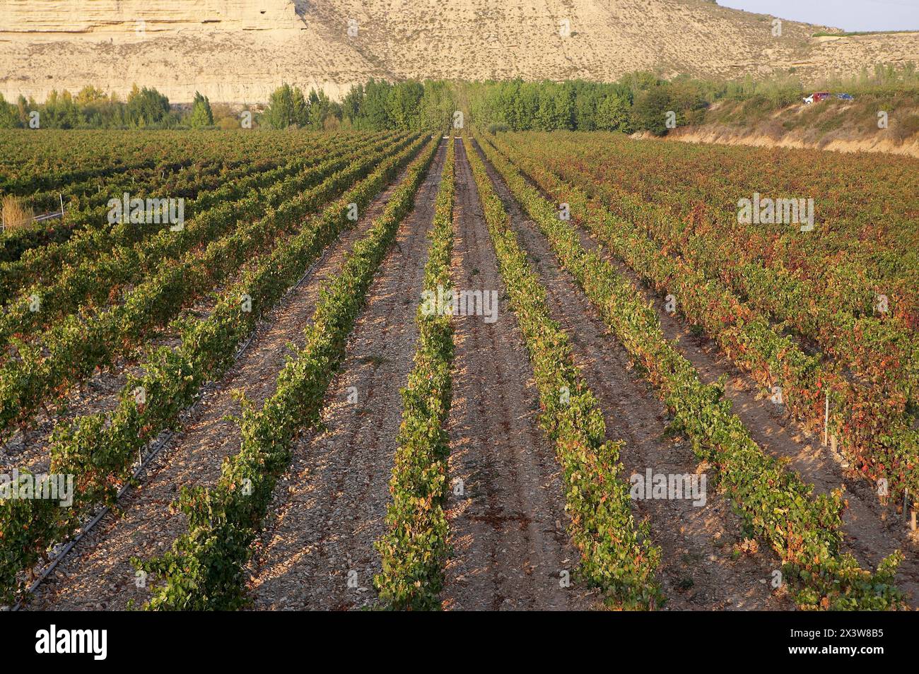 Fuenmayor hi-res stock photography and images - Alamy