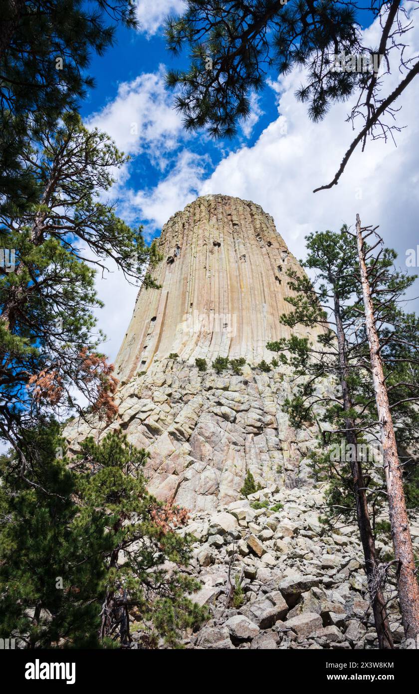Devils Tower National Monument, Butte in Wyoming, USA Stock Photo - Alamy