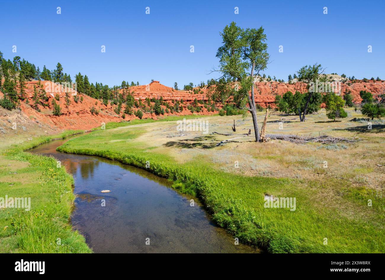 Devils Tower National Monument, Butte in Wyoming, USA Stock Photo - Alamy