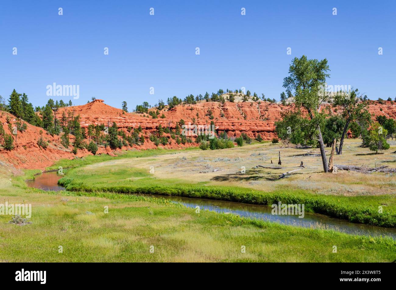 Devils Tower National Monument, Butte in Wyoming, USA Stock Photo - Alamy