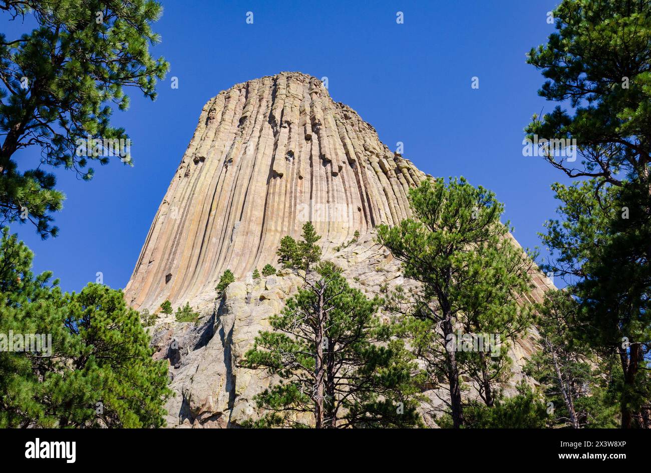 Devils Tower National Monument, Butte in Wyoming, USA Stock Photo - Alamy