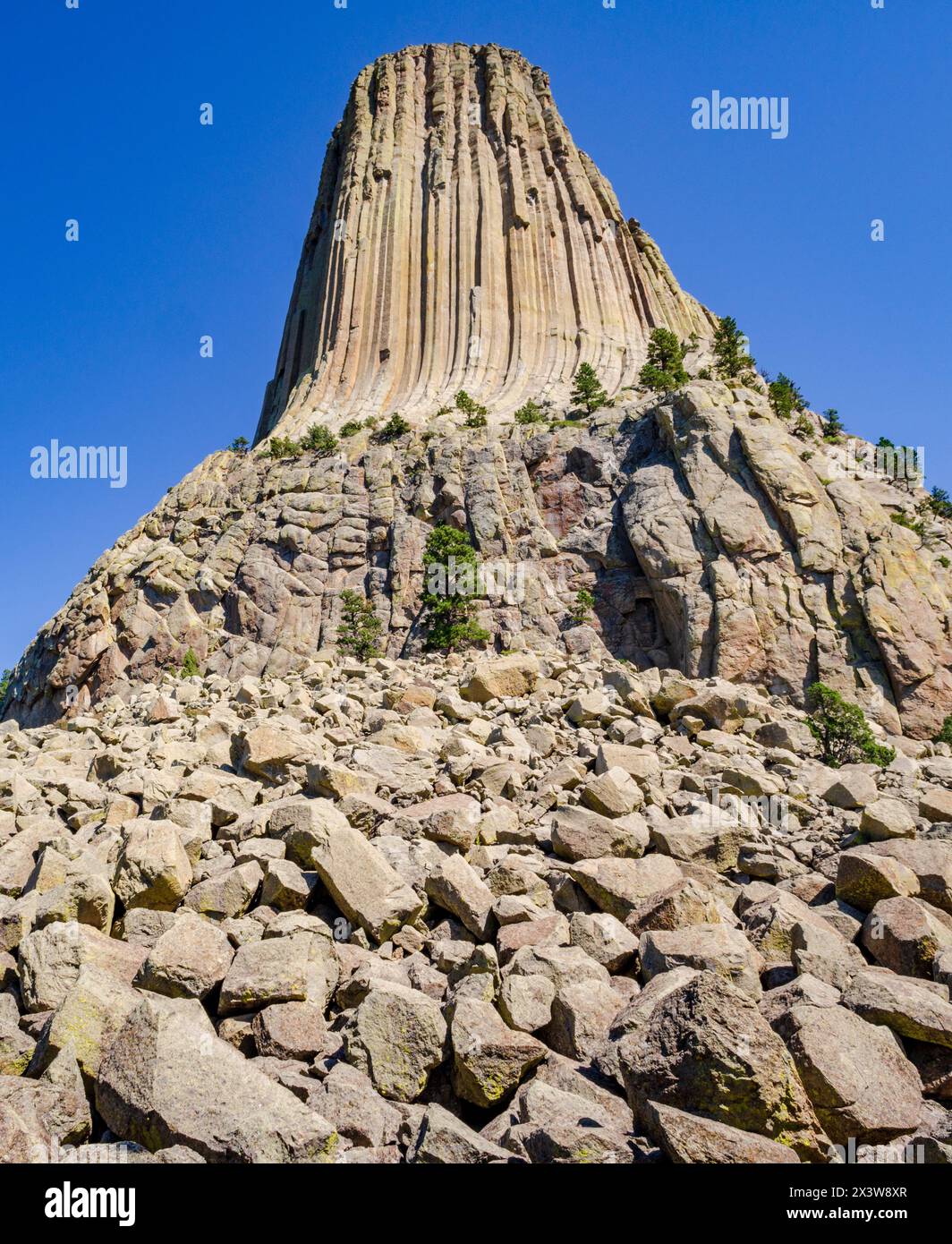 Devils Tower National Monument, Butte in Wyoming, USA Stock Photo - Alamy
