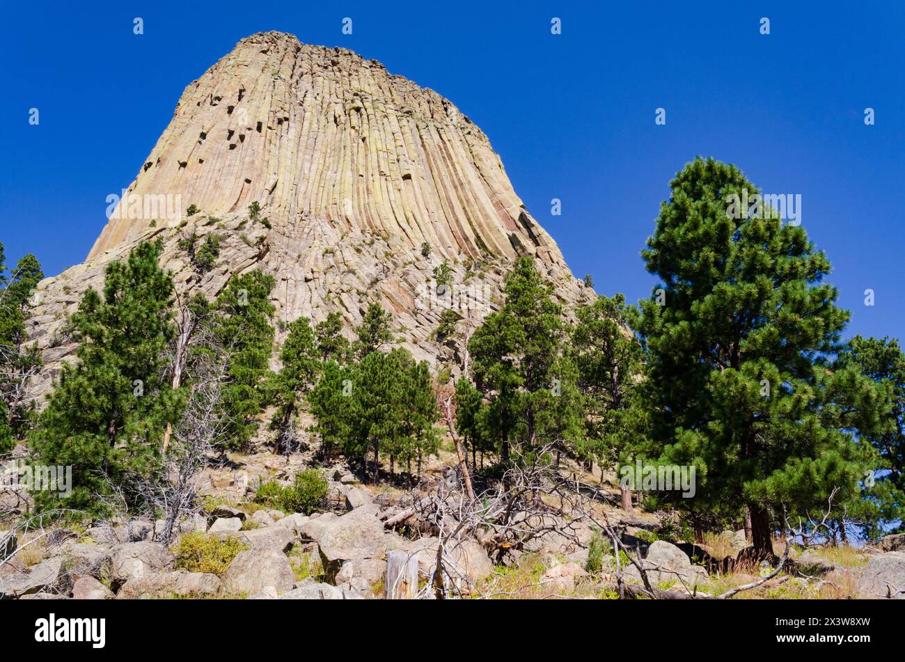 Devils Tower National Monument, Butte in Wyoming, USA Stock Photo - Alamy