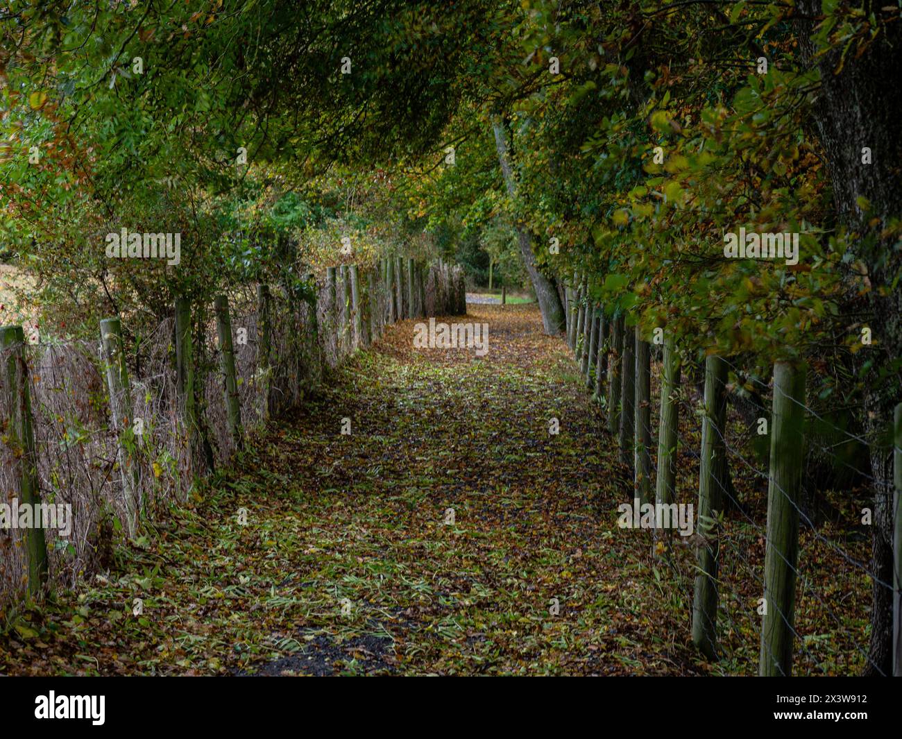 zona de la Cascada de Goiuri / Gujuli, Parque Natural de Gorbea, alava ...