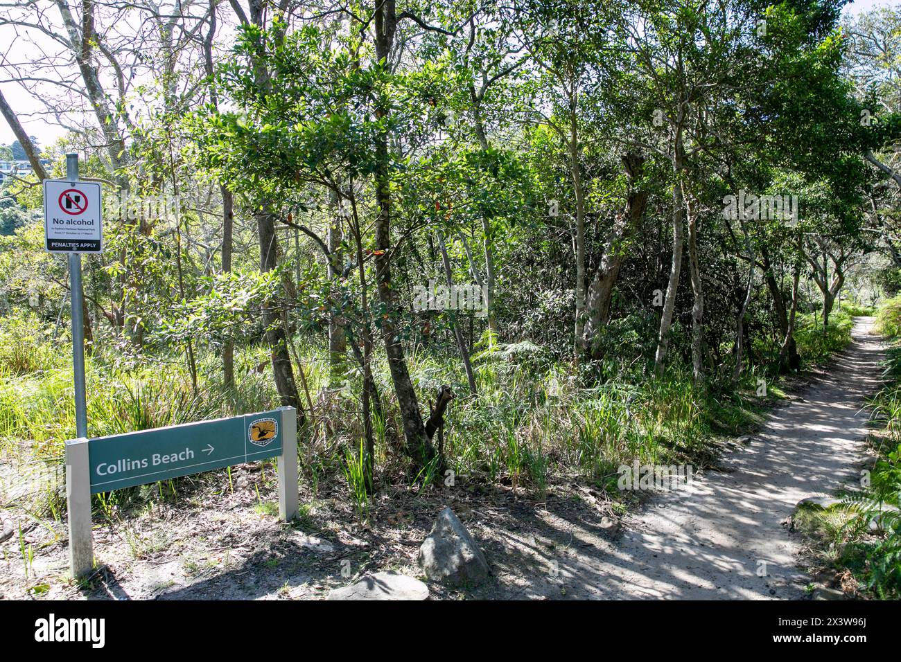 Walking track through national park to access Collins Beach ( Collins ...