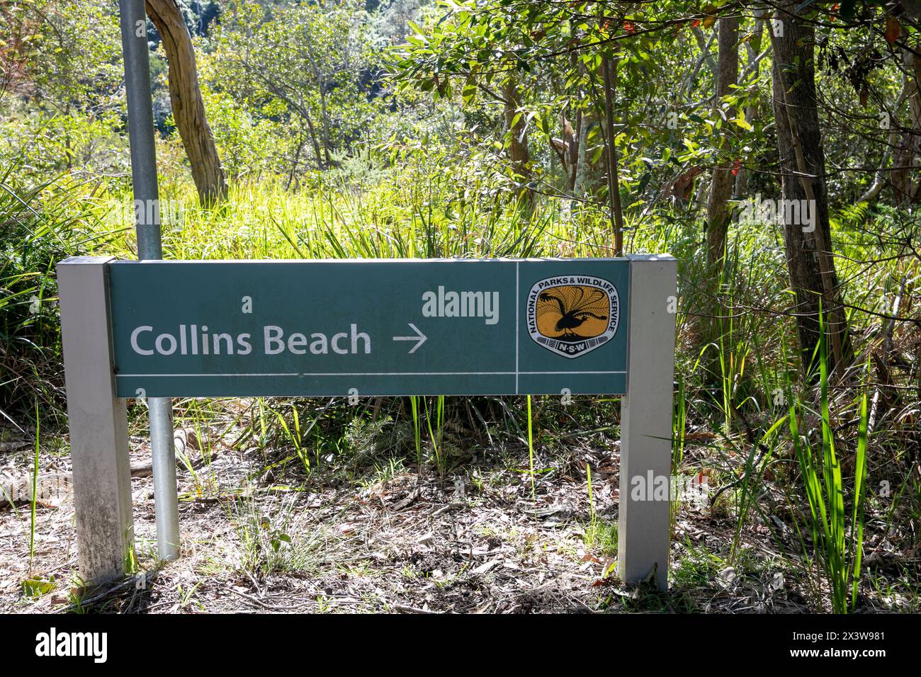 Walking track through national park to access Collins Beach ( Collins ...