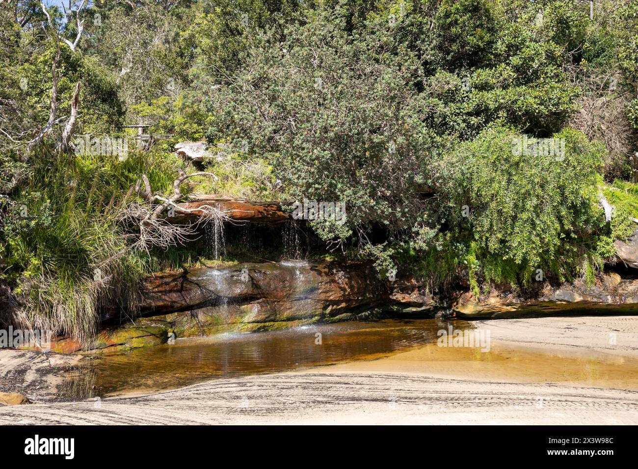 Collins Beach ( aka Collins Flat Beach) on North Head in Sydney Harbour ...
