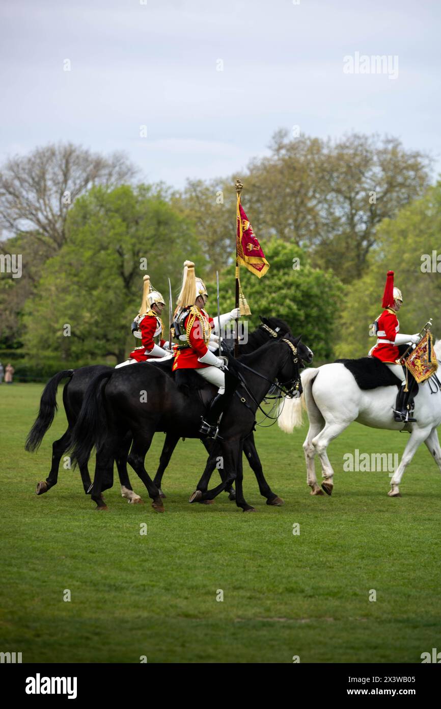 The regimental standard (flag) leaves the parade The Major General's ...