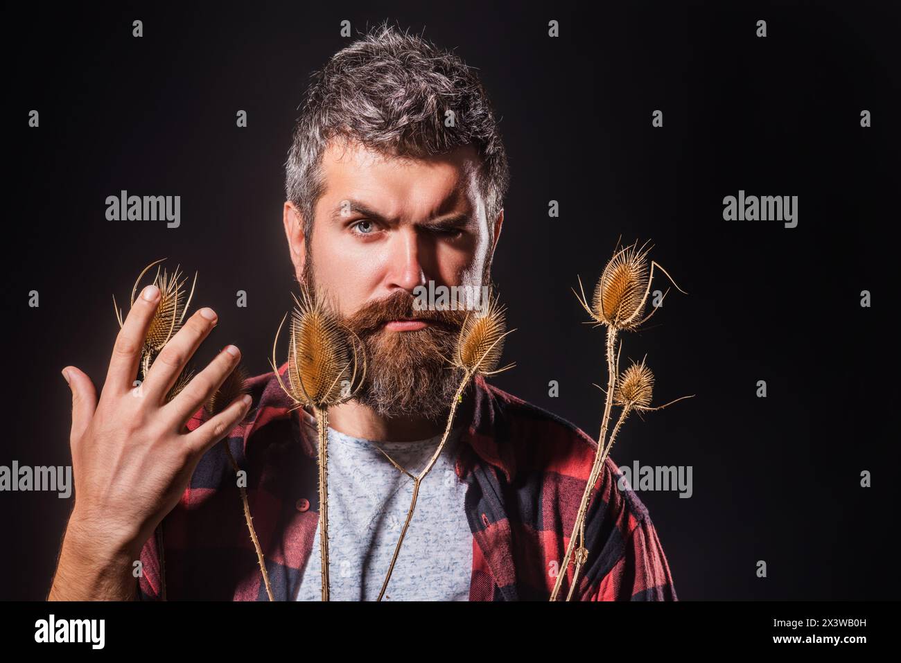 Well-groomed beard. Care for your beard. Beard bristled. Male prickly ...