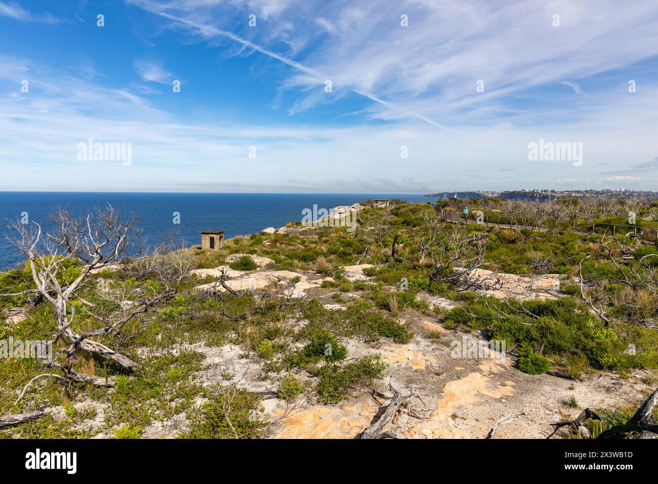 North Head Manly, coastal plants on the stone landscape, World War 2 ...