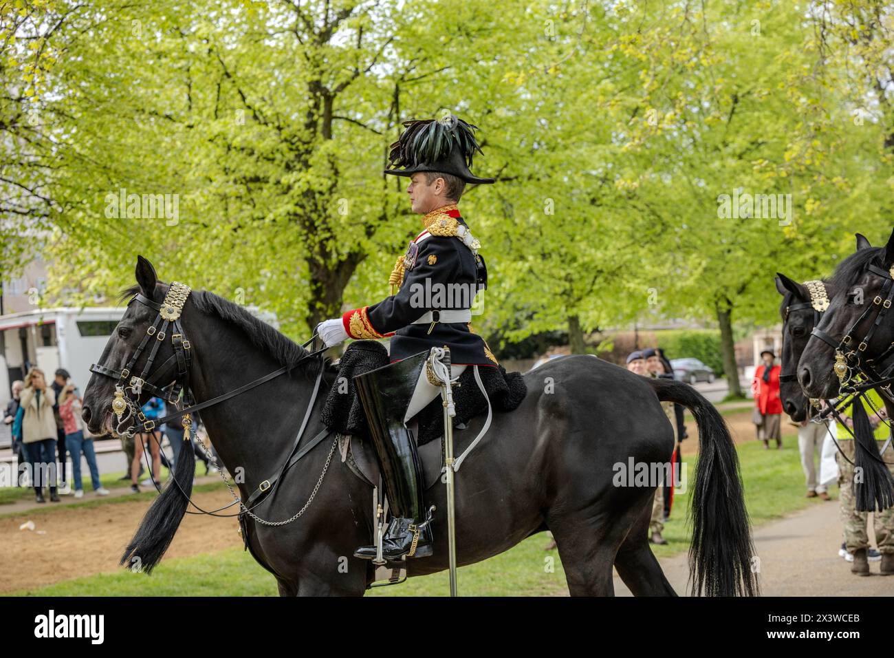 Time test horse hi-res stock photography and images - Alamy