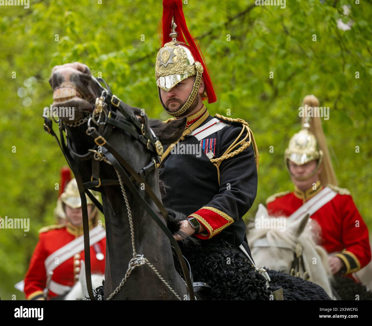 Ceremonial unit hi-res stock photography and images - Alamy