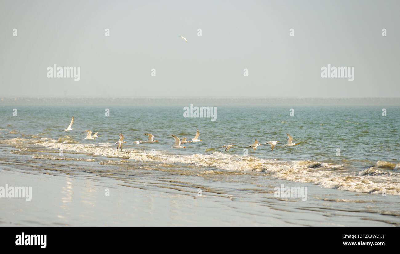 Blue ocean wave, ocean waves, natural background. Blue clean wavy sea ...