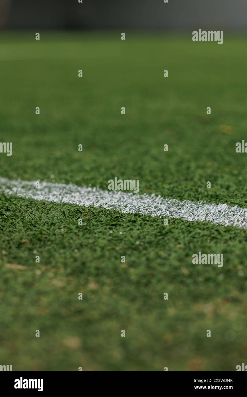 Green Soccer Field or Football Field front View with Grass Texture and ...