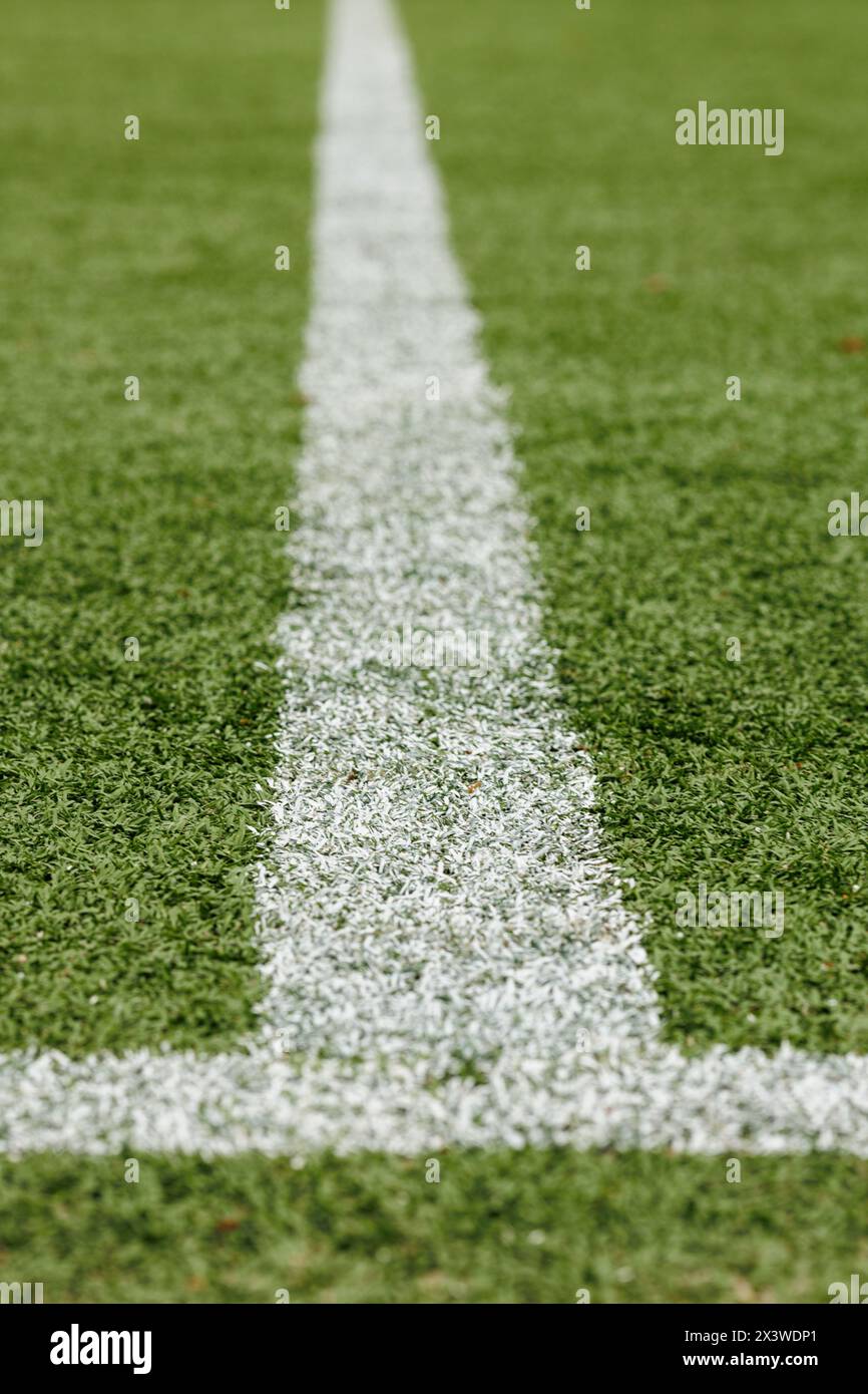 Green Soccer Field or Football Field Front View with Grass Texture and ...