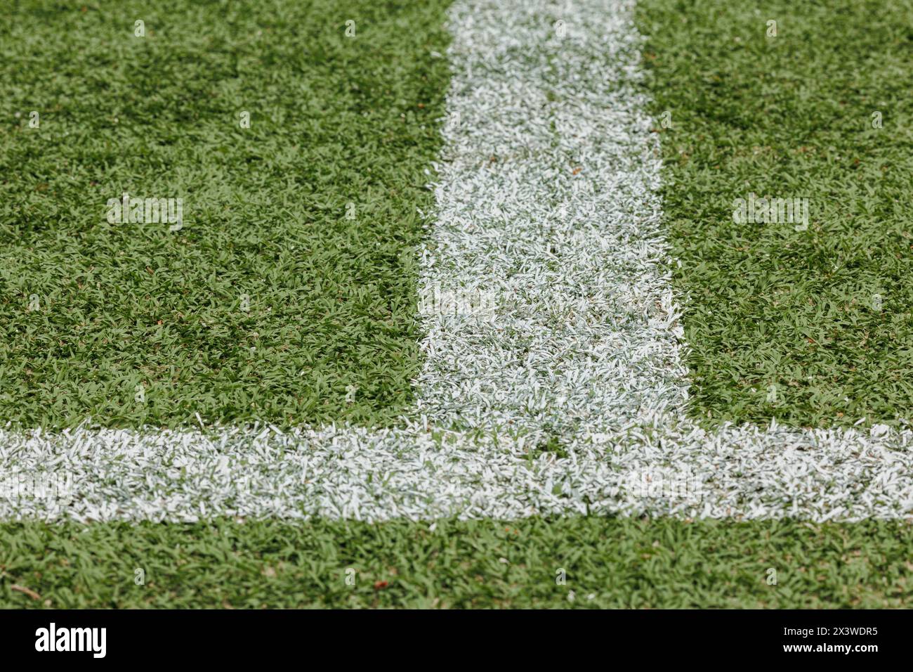 Soccer Field Grass Pattern