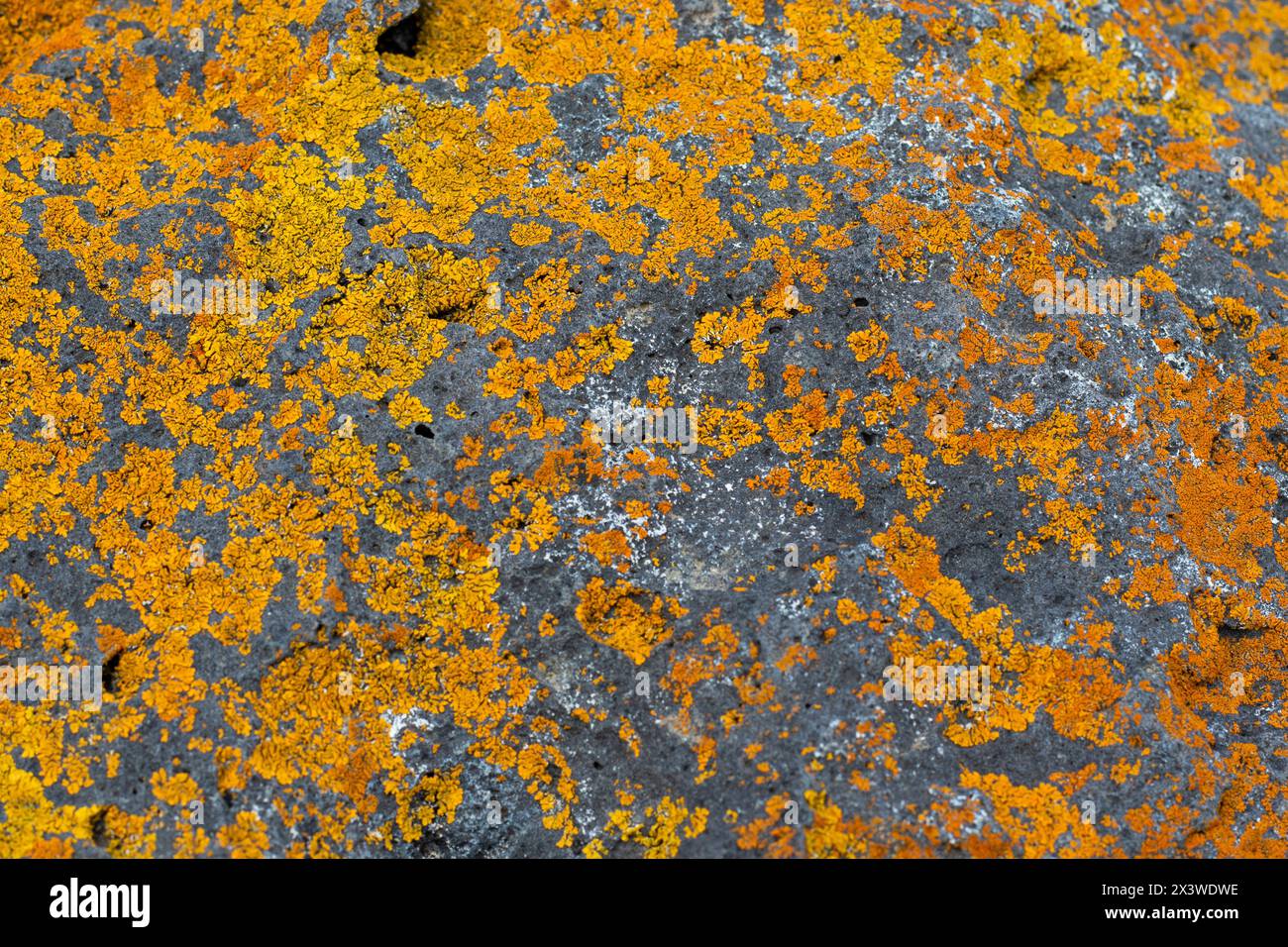 Old rocks and stones in Saro monastry, Georgia Stock Photo - Alamy