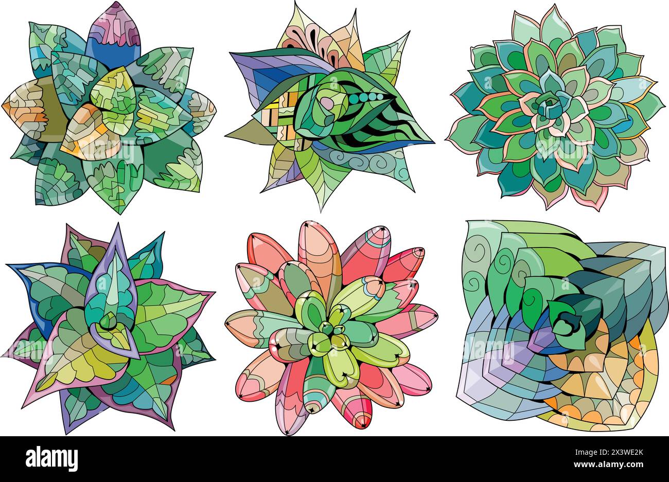 Set of Succulents hand drawn. Floral garden design for invitation ...