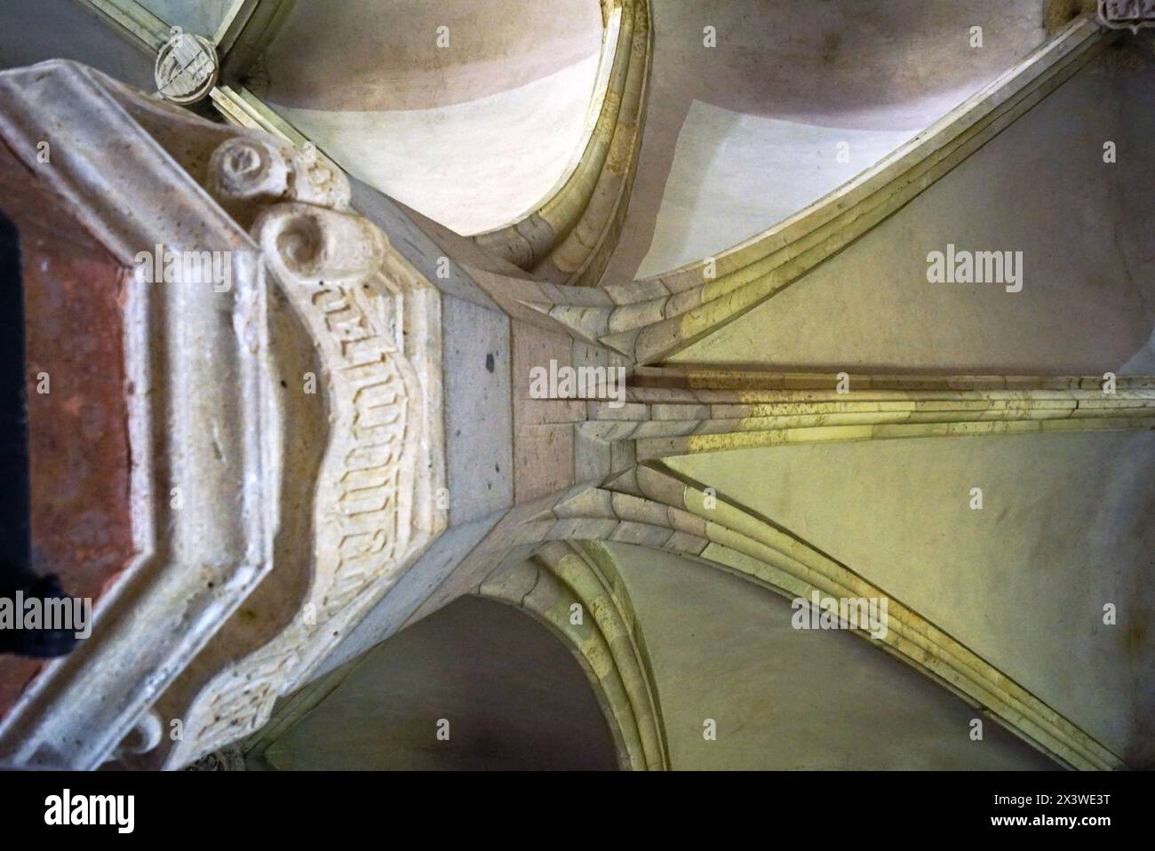 Bottom-up view of an old stone column and a Gothic vault in the Knights ...