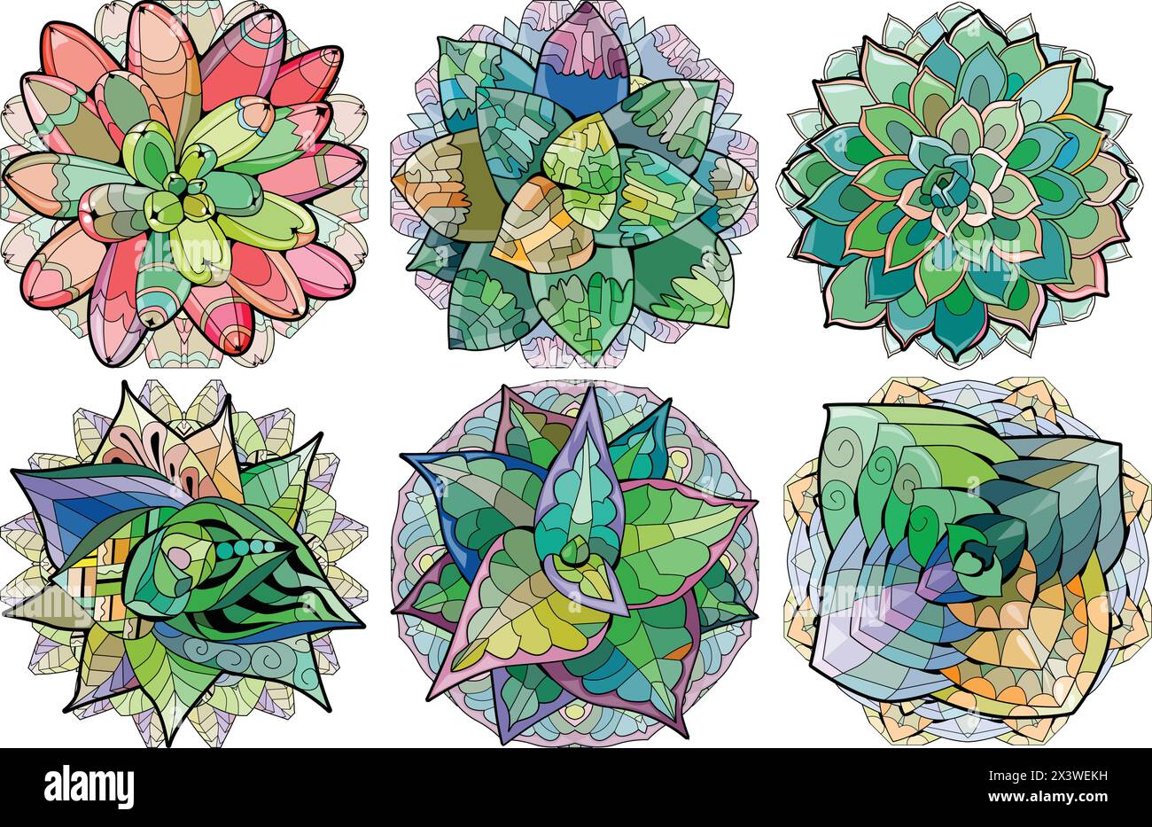 Set of Succulents hand drawn. Floral garden design for invitation ...