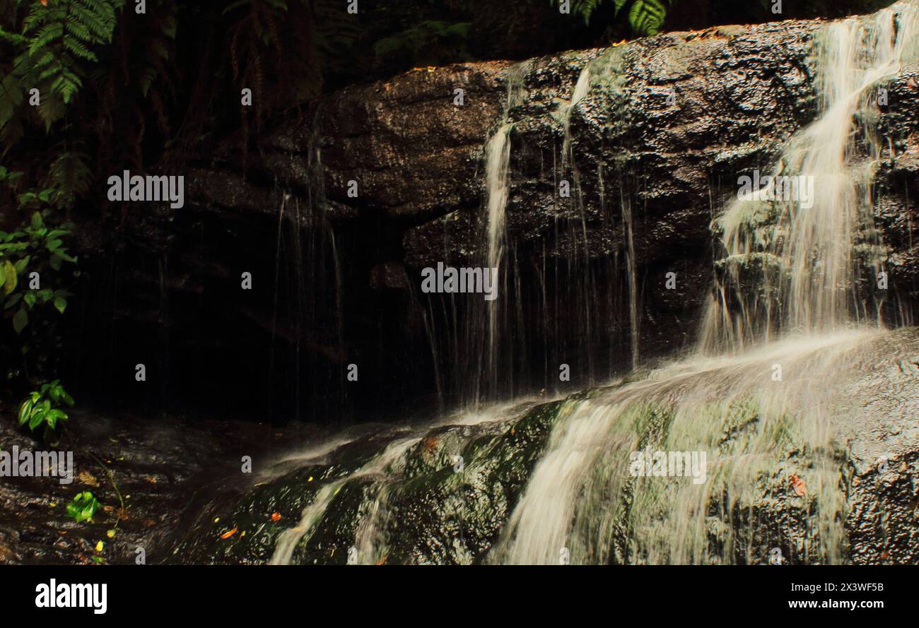 beautiful vattakanal waterfall on levinge stream, in a tropical ...
