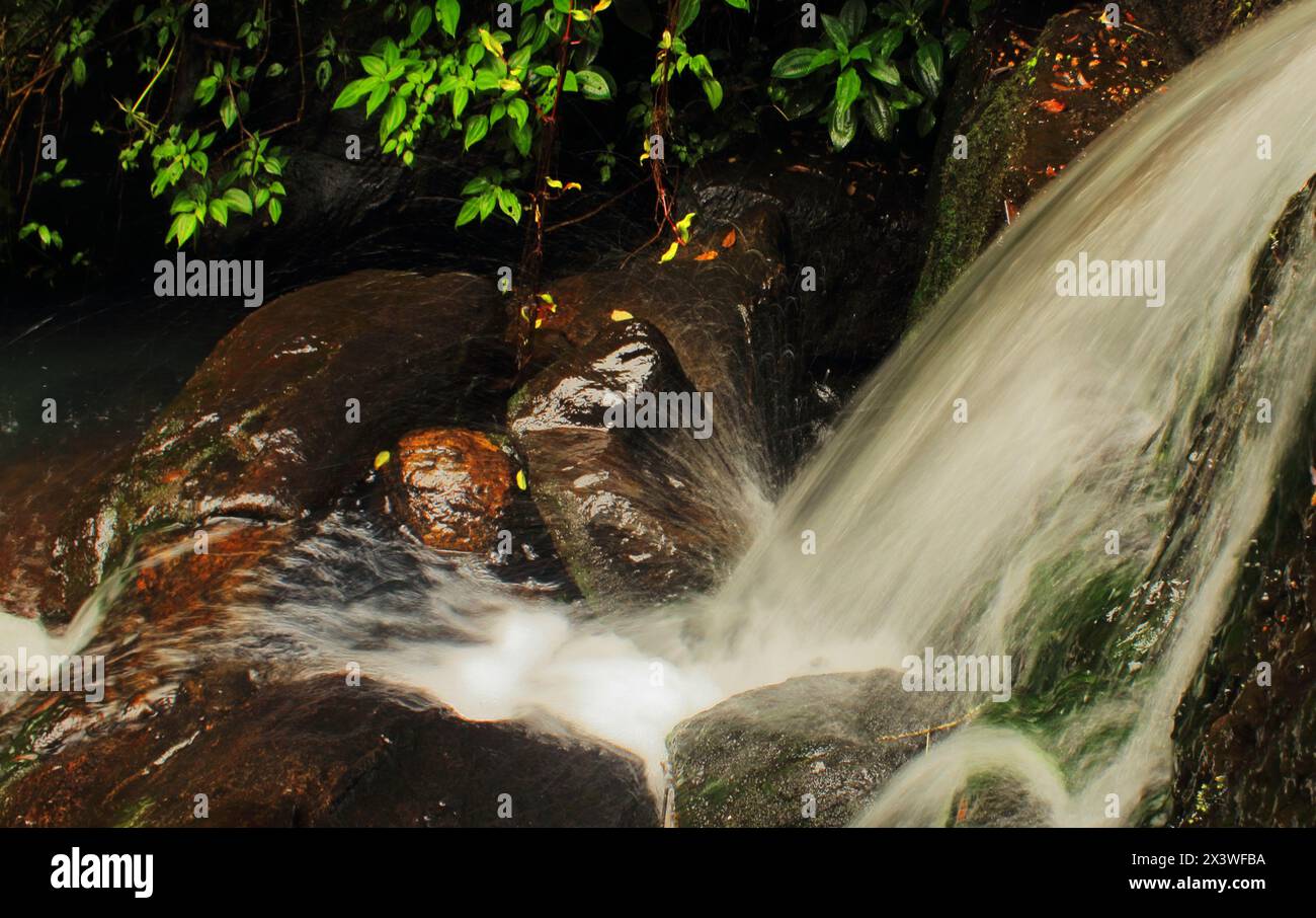 beautiful vattakanal waterfall on levinge stream, in a tropical ...