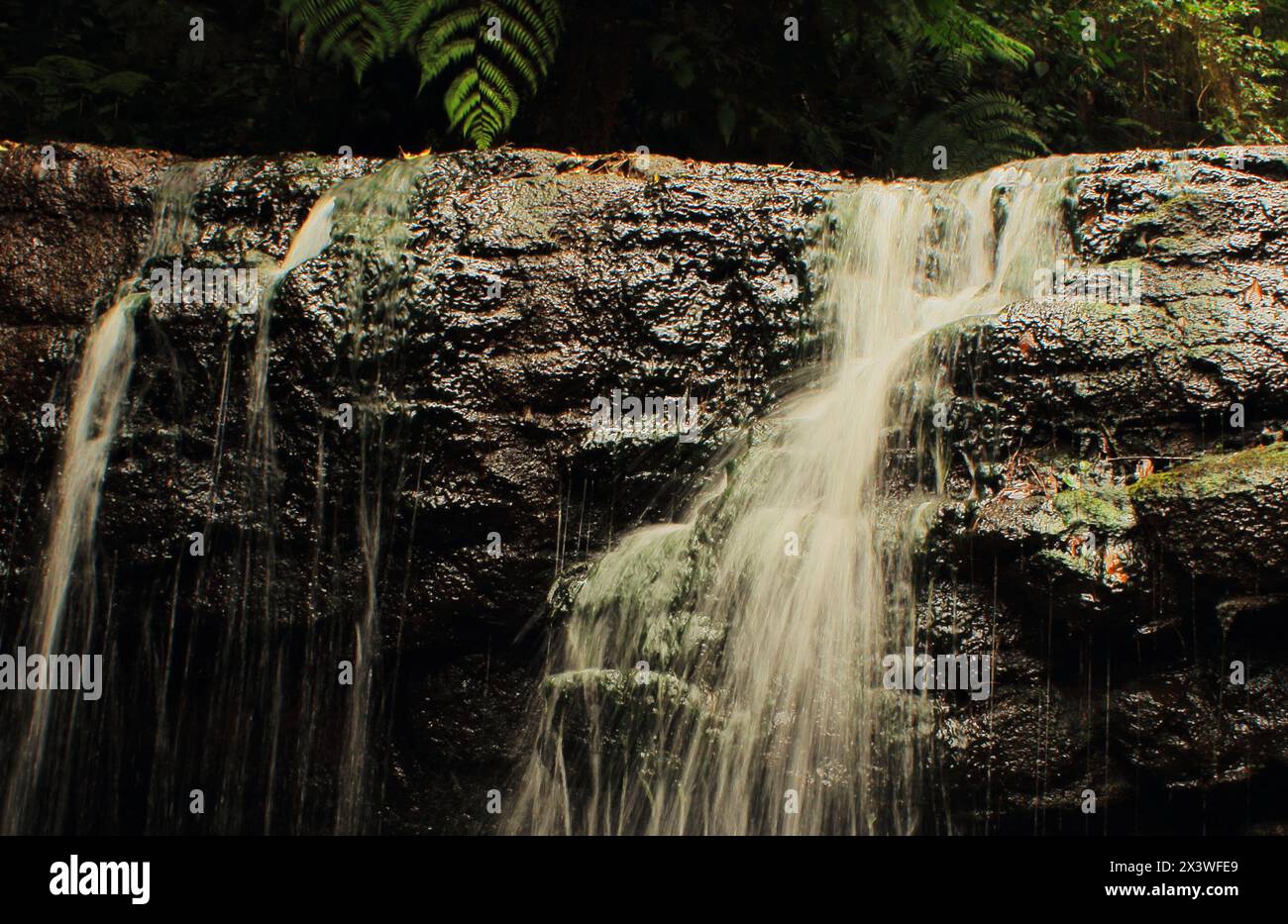 beautiful vattakanal waterfall on levinge stream, in a tropical ...