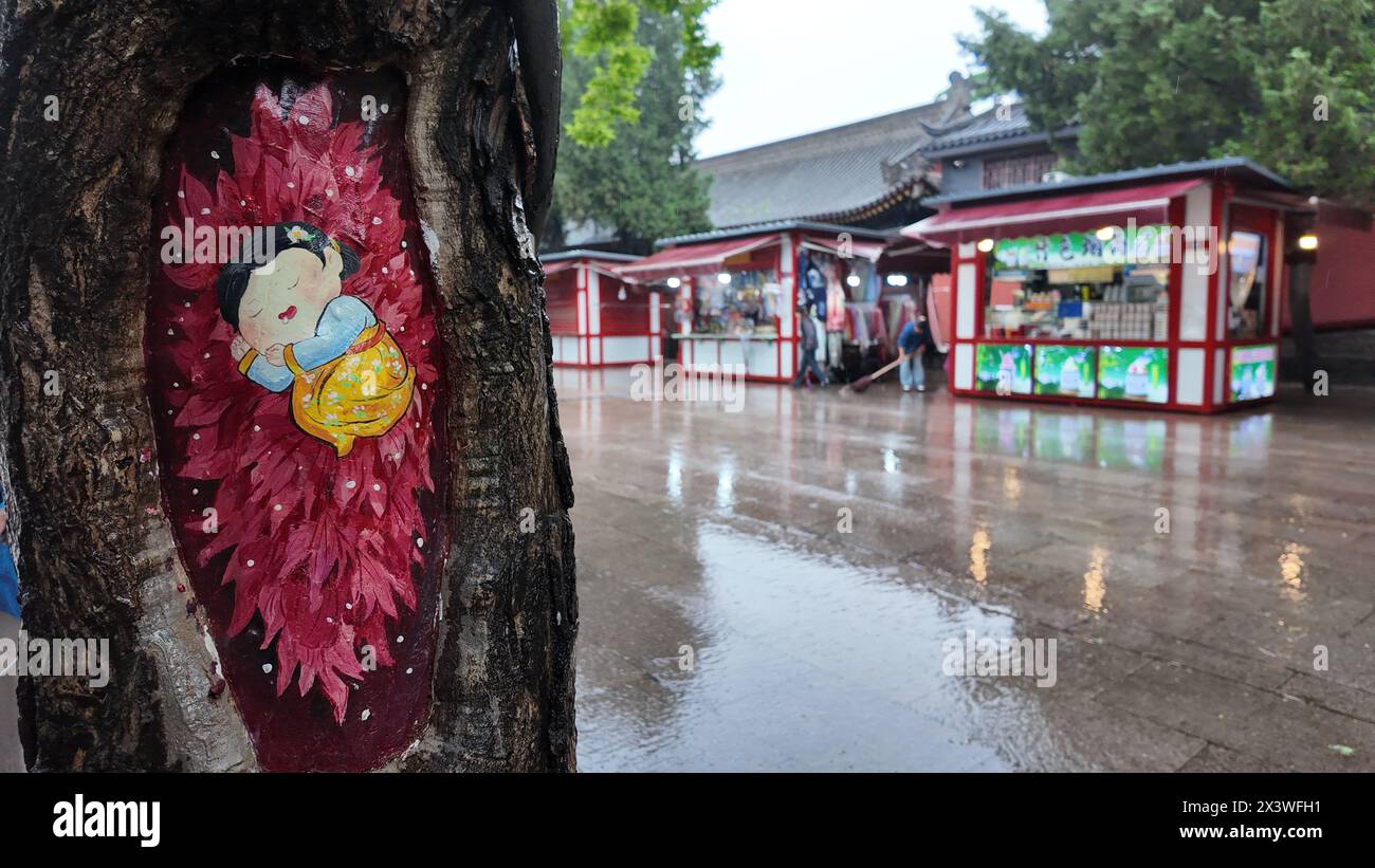 XI'AN, CHINA - APRIL 29, 2024 - A scarred tree draws a cartoon drawing ...
