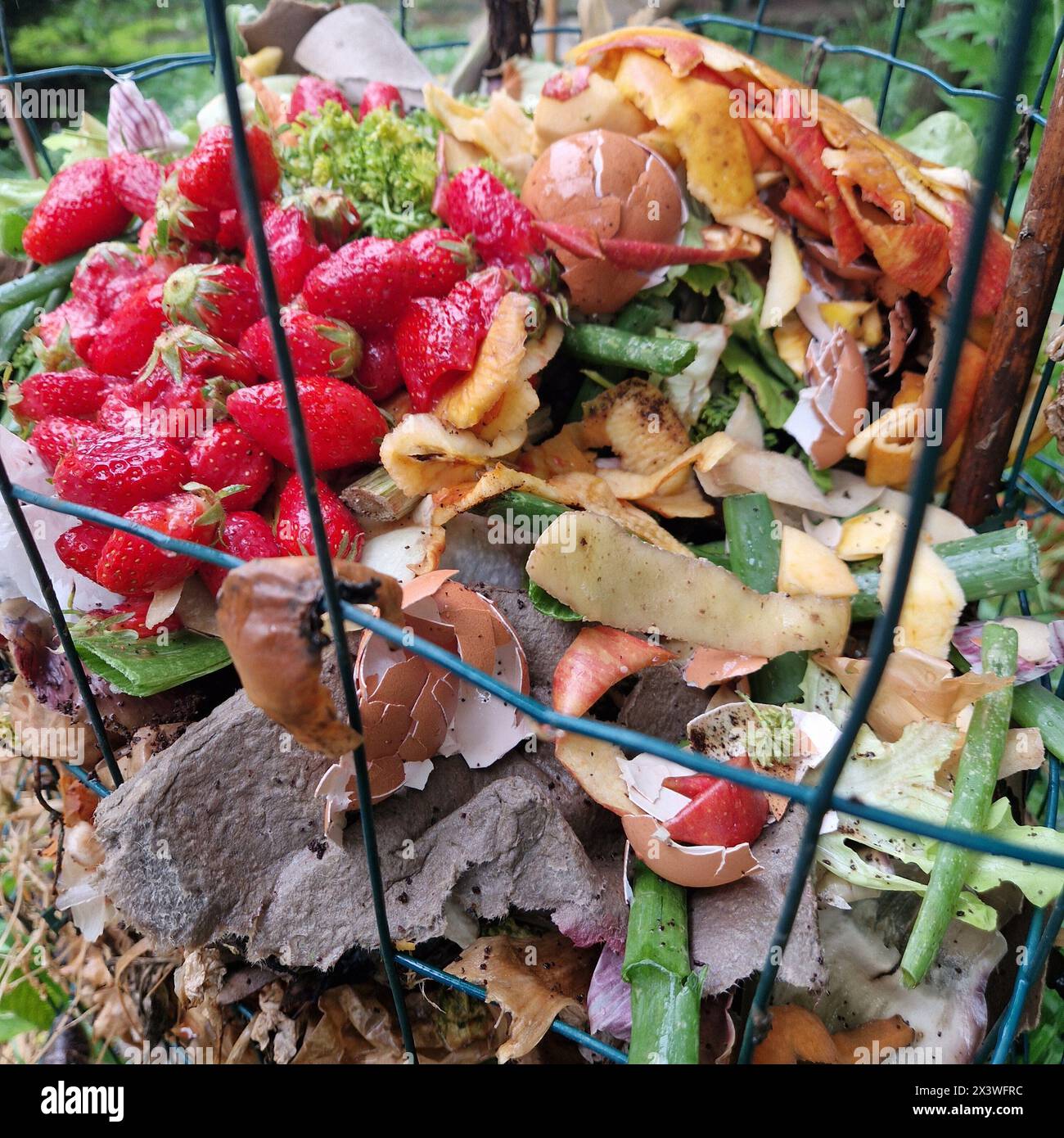 Fresh compostable products, gardening, Bron, Rhone, AURA Region, France ...