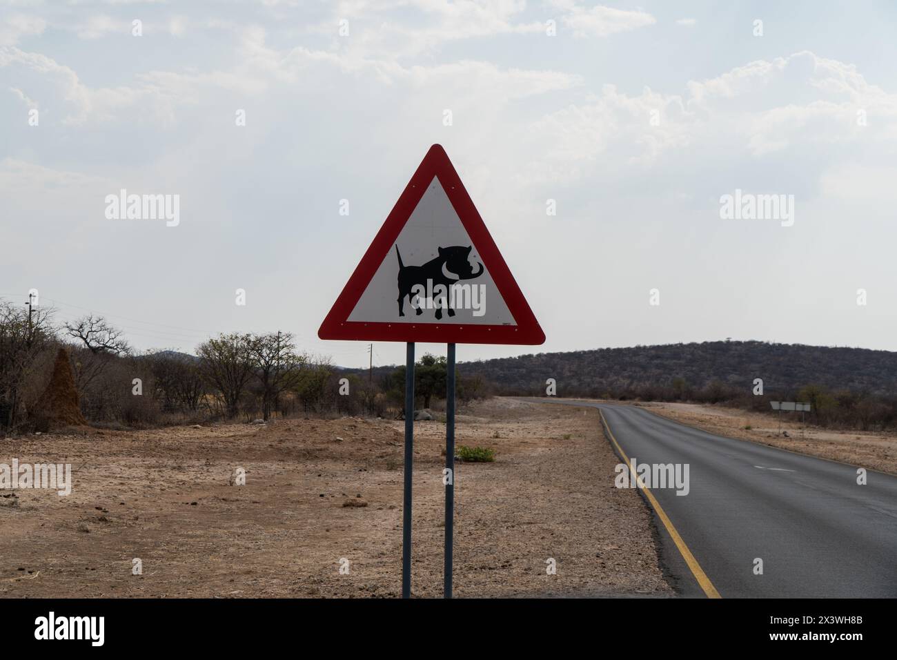 Warthog warning sign in Namibia Stock Photo - Alamy